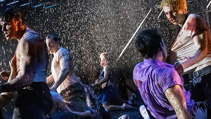 The Outsiders | Broadway Collection